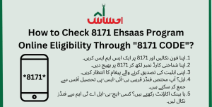 8171 Web Portal Check Online CNIC Ehsaas Program (احساس پروگرام) July 2025